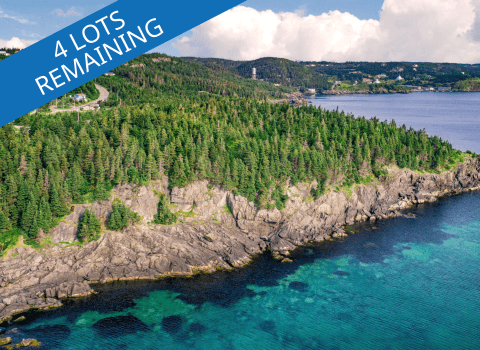 NL-Land - Land for Sale in Newfoundland